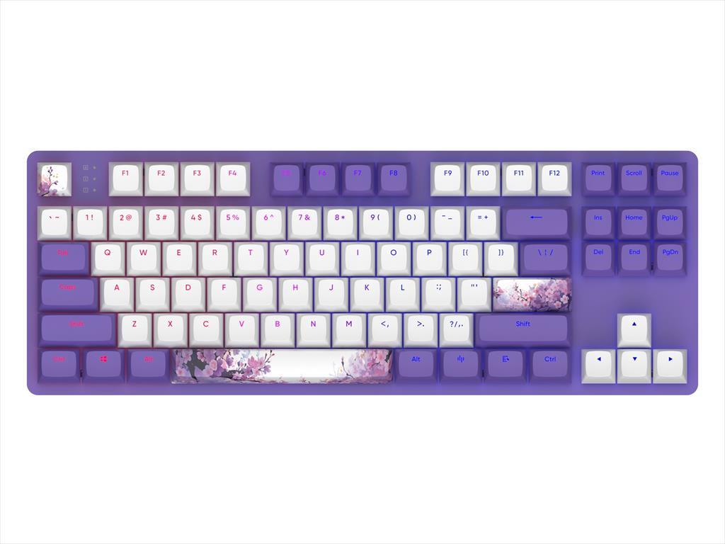 KEYBOARD MECHANICAL DARK PROJECT 87 VIOLET HORIZONS TKL RGB linear G3ms ...