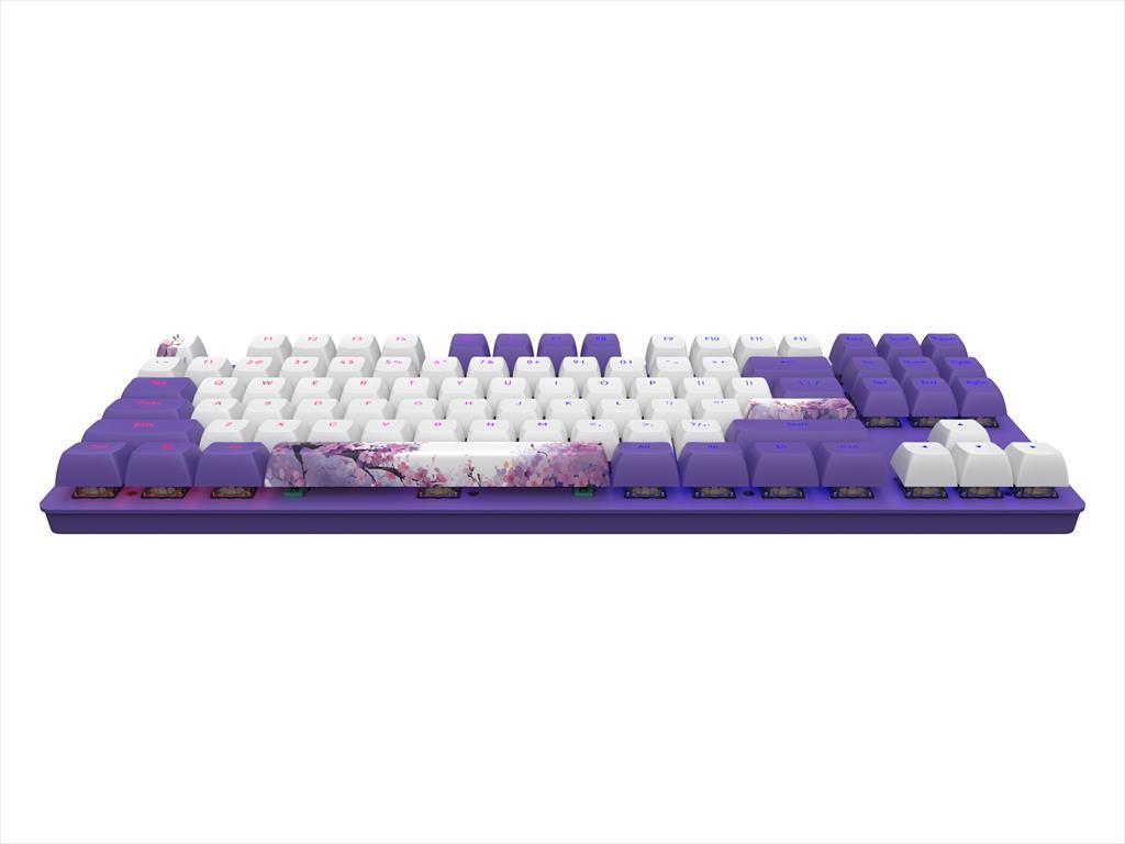 KEYBOARD MECHANICAL DARK PROJECT 87 VIOLET HORIZONS TKL RGB linear G3ms ...