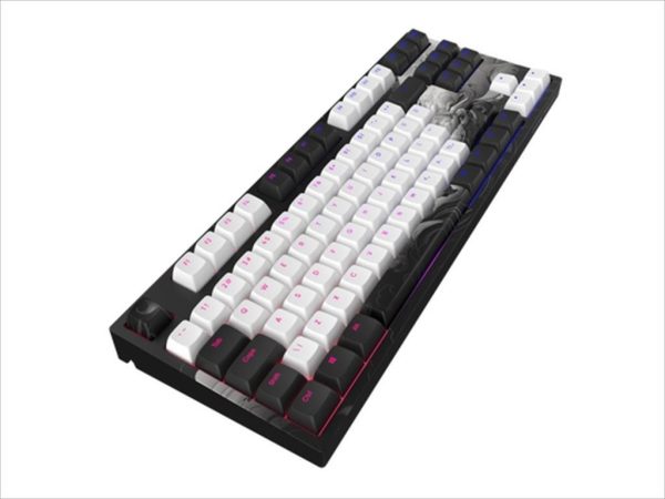 KEYBOARD MECHANICAL DARK PROJECT DPP 87 INK TKL HS RGB linear ...