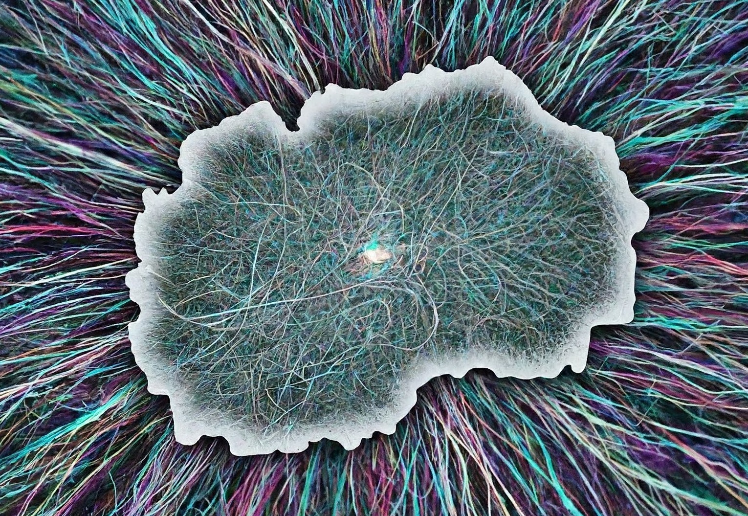 MKLLM-7B e првиот македонски open-source голем јазичен модел ⋆ IT.mk